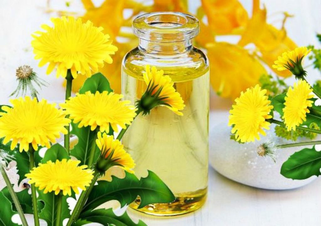 Papadia, medicament si delicatesa – PixelRage